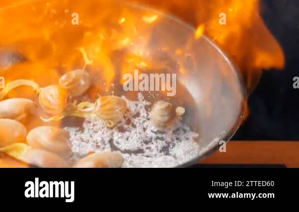 Clams italian dish Stock Videos & Footage - HD and 4K Video Clips - Alamy