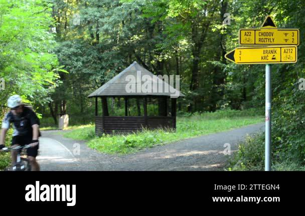 Path labels in the forest (park) - cyclist passes - trees with wooden ...