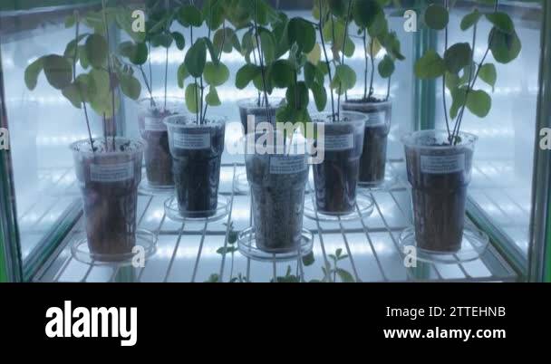 Glass vials for liquid samples. Laboratory equipment for dispensing ...