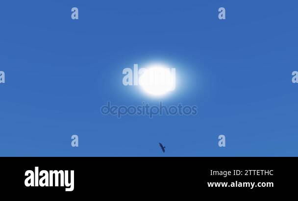 4k eagle Flying Over Sunlight,sun rays & solar flare,cloud,Paradise ...