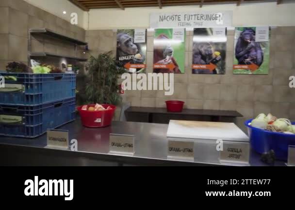 Zoo kitchen Stock Videos & Footage - HD and 4K Video Clips - Alamy