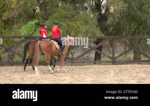 Back view young women riding horses outdoors Stock Video Footage - Alamy