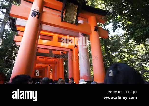 Torii temple gates Stock Videos & Footage - HD and 4K Video Clips - Alamy