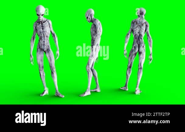 Alien stay idle. Realistic motion and skin shaders. 4K green screen ...