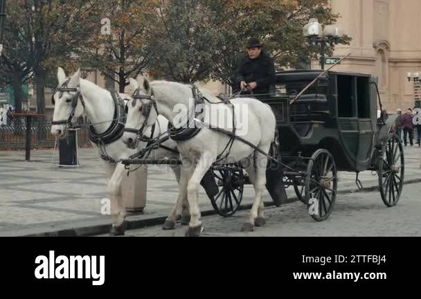 Horse drawn cart rides Stock Videos & Footage - HD and 4K Video Clips ...