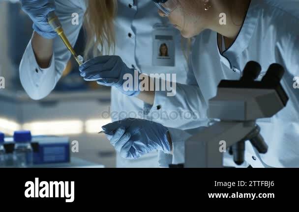 Female Research Scientists Passes Slided to Her Colleague Who Observes ...