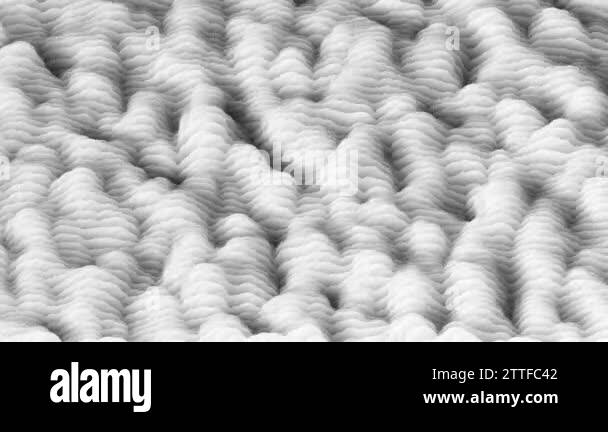 the texture of the intestine. The smooth pulsation of the white ...