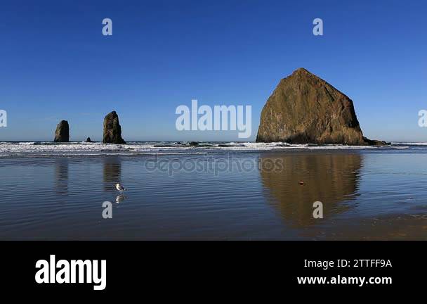 Needles landmark Stock Videos & Footage - HD and 4K Video Clips - Alamy