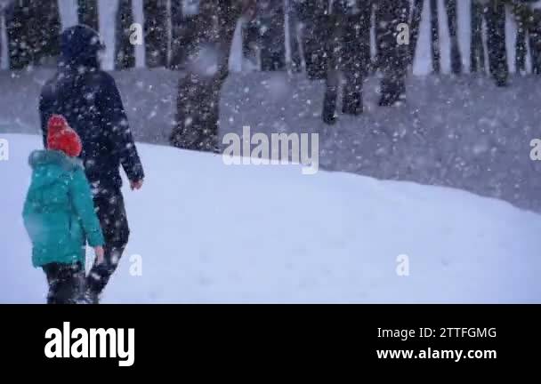 Dad and Daughter are Walking in the Snow in a Pine Forest during a ...