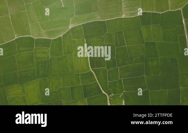 Asia farming landscape Stock Videos & Footage - HD and 4K Video Clips ...