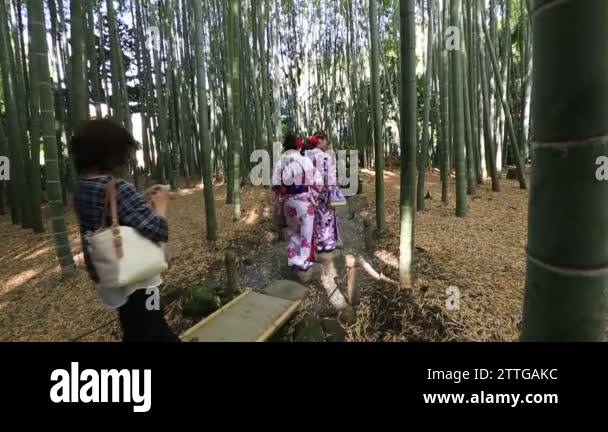 Traditional path Stock Videos & Footage - HD and 4K Video Clips - Alamy