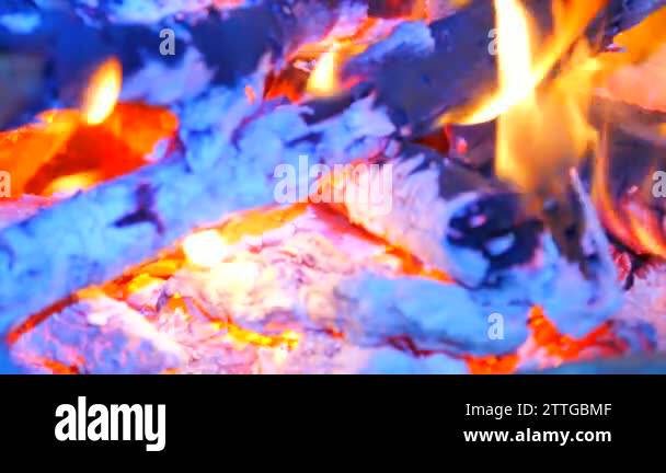 Detail of blue fire of burning hardwood. Burning woods in shiver hot ...