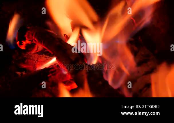 Dark live coals. Burning hardwood in detail. Burning woods shiver in ...