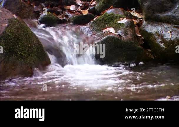 Water flowing through stones Stock Videos & Footage - HD and 4K Video ...
