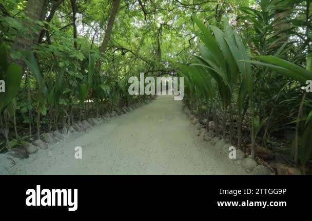 Island pathway Stock Videos & Footage - HD and 4K Video Clips - Alamy