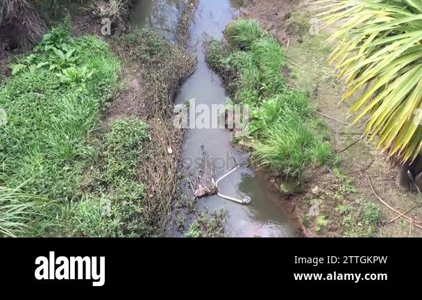 New zealand water pollution Stock Videos & Footage - HD and 4K Video ...
