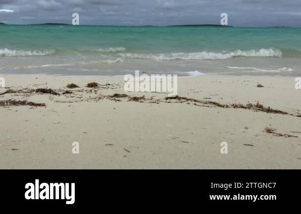 Bahamas pristine beach Stock Videos & Footage - HD and 4K Video Clips ...