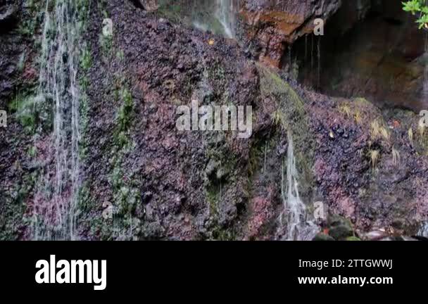 25 Fontes falls on Madeira. Beautiful waterfall in the midlle of green ...