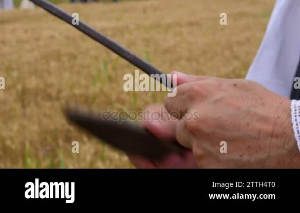 Sharp bone tool Stock Videos & Footage - HD and 4K Video Clips - Alamy