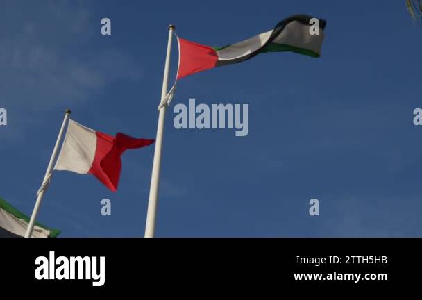 national flags of dubai Stock Video Footage - Alamy