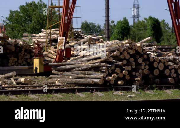 Lumber resources Stock Videos & Footage - HD and 4K Video Clips - Alamy