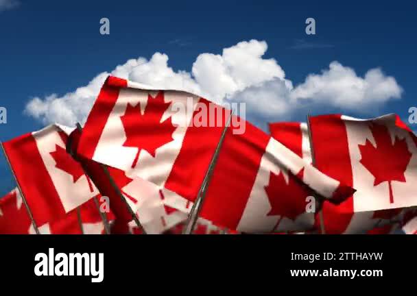 Waving canadian flags Stock Videos & Footage - HD and 4K Video Clips ...