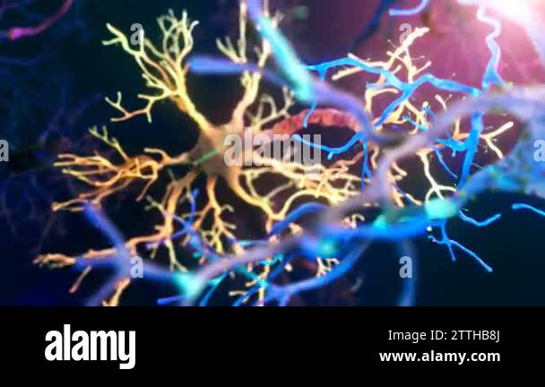 Real Neuron synapse network 3D animation. Multiple angles of electrical ...