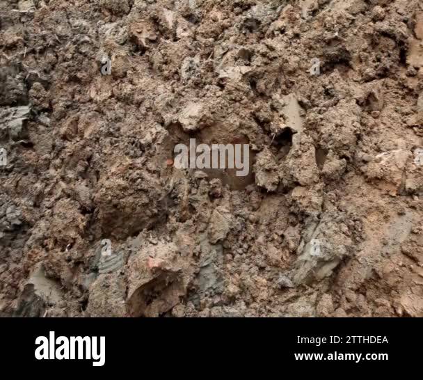 Soil that Stock Videos & Footage - HD and 4K Video Clips - Alamy