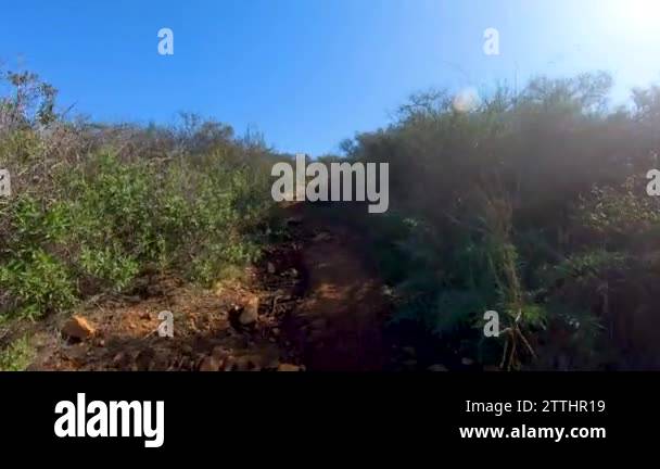 Walking through small trails to the top of the Black Mountain in San ...