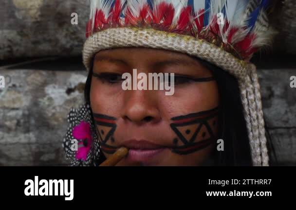 Indigenous Woman Smoking Pipes in a Tupi Guarani Tribe, Brazil Stock ...