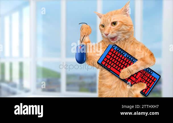 Cat with computer mouse Stock Videos & Footage - HD and 4K Video Clips ...