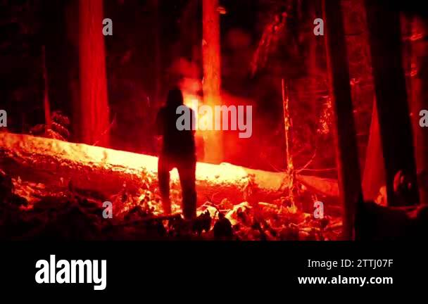 Flare rescue forest Stock Videos & Footage - HD and 4K Video Clips - Alamy