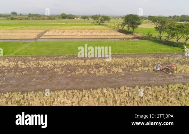farmer working in rice plantation using tiller tractor. aerial view ...