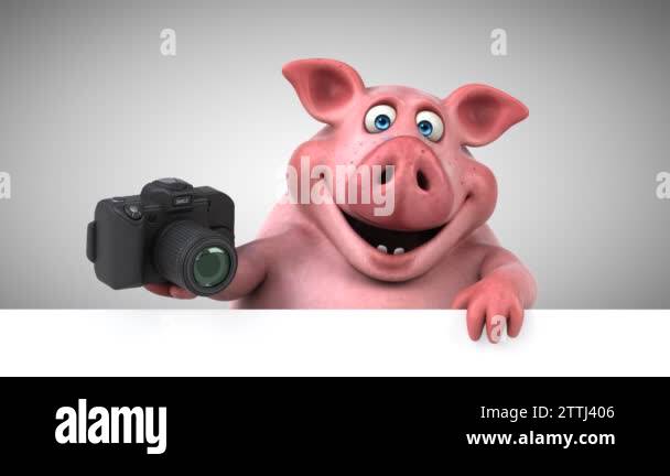 Pig holding photo camera Stock Videos & Footage - HD and 4K Video Clips ...