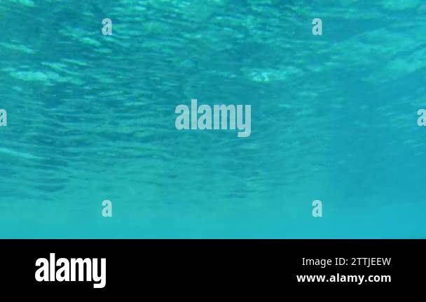Alive sea surface shot underwater with bright sparkles of rays in the ...