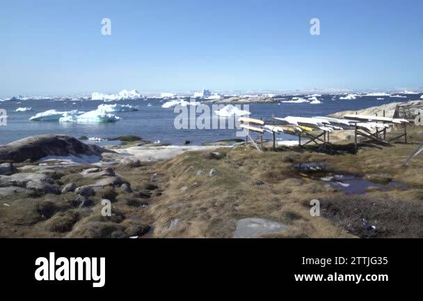 Life in arctic Stock Videos & Footage - HD and 4K Video Clips - Alamy