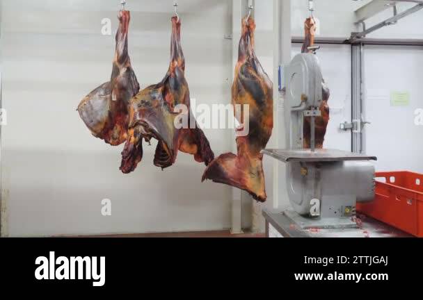 Slaughter house cow Stock Videos & Footage - HD and 4K Video Clips - Alamy