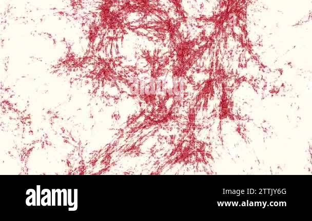 Red and white texture Stock Videos & Footage - HD and 4K Video Clips ...