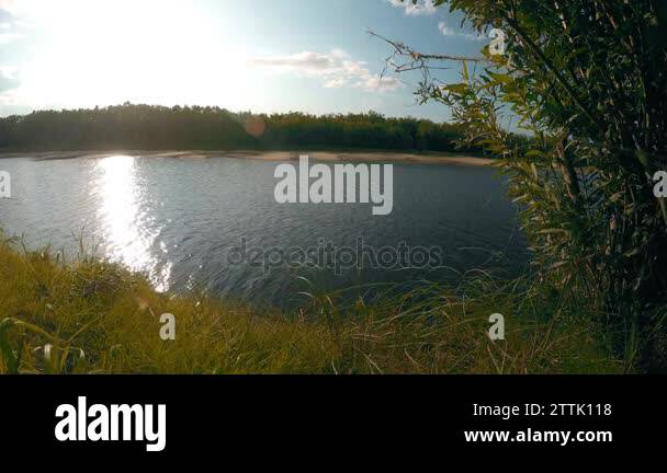 Summer Sunny Day on River. Nature Background. 4K Stock Video Footage ...