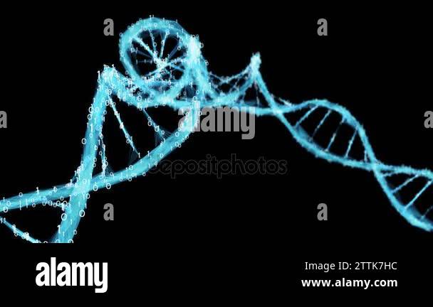 Motion Background Digital Binary Polygon Plexus DNA molecule 4k Loop Alpha Matte Stock Video ...