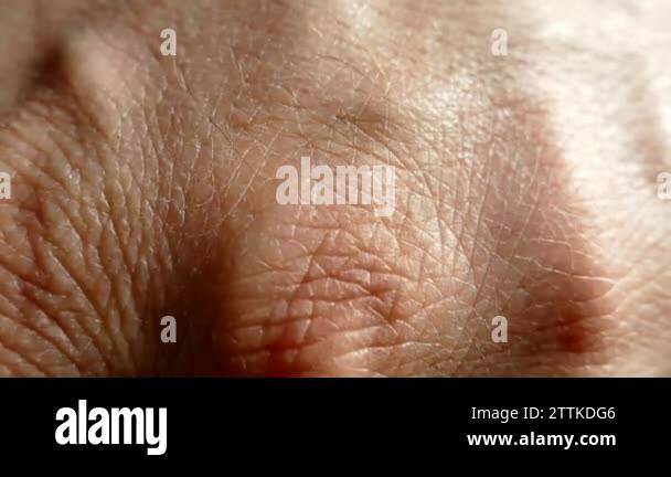 Leather on a man's hand. Bends of the palm. Skin texture of the hand ...