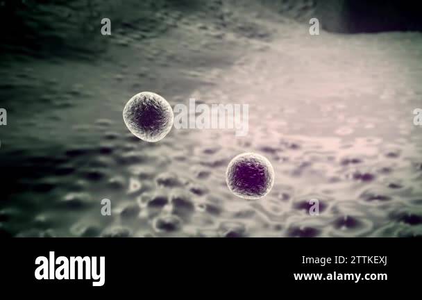 cells and antibodies, antibodies kills the cells, 3d rendered ...