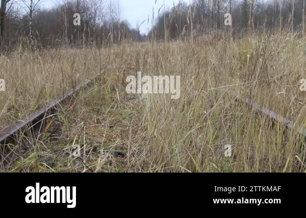 Disused railroad railway tracks Stock Videos & Footage - HD and 4K ...