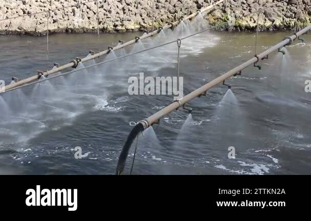Nuclear cooling water Stock Videos & Footage - HD and 4K Video Clips ...