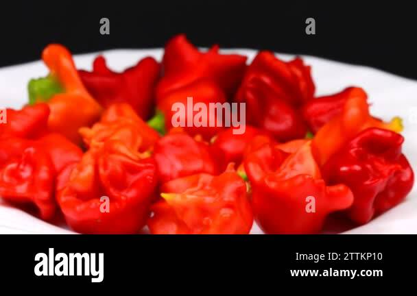 Bishops table Stock Videos & Footage - HD and 4K Video Clips - Alamy