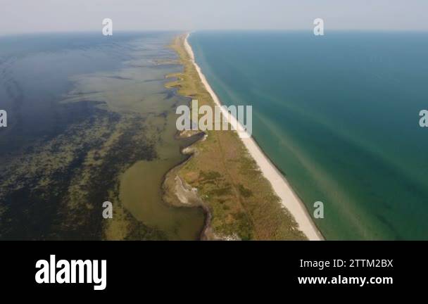Reed arrow Stock Videos & Footage - HD and 4K Video Clips - Alamy