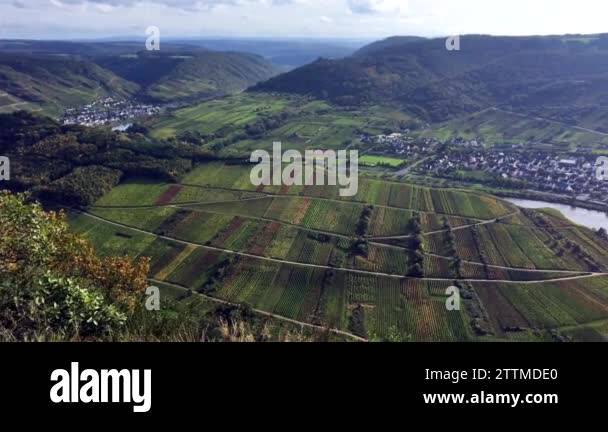 Calmont vineyard Stock Videos & Footage - HD and 4K Video Clips - Alamy