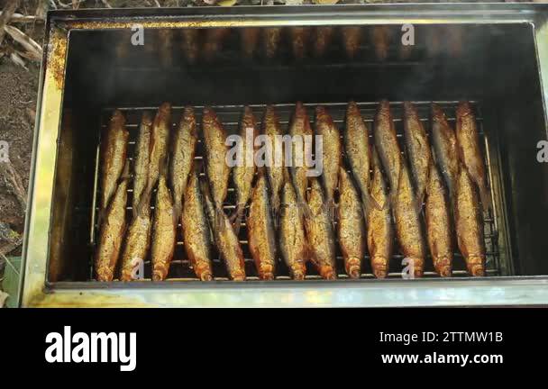 Alder smoke Stock Videos & Footage - HD and 4K Video Clips - Alamy