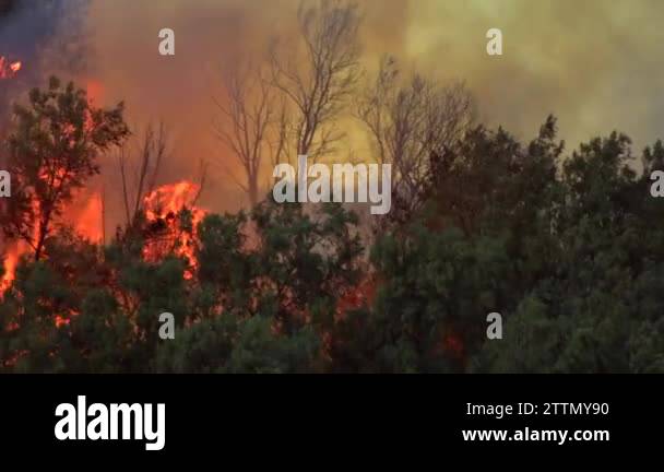 California Wildfire. Burning Desert Bushes. Fire Flames As High As ...