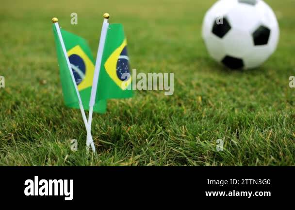 Brazil soccer flag grass Stock Videos & Footage - HD and 4K Video Clips ...